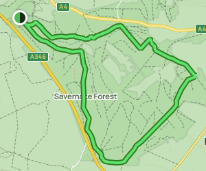 Savernake Forest Circular: 159 foto's - Wiltshire, Engeland | AllTrails
