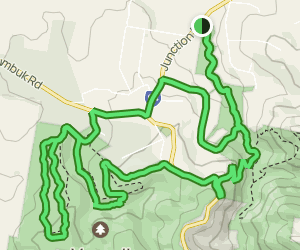 Morwell National Park Loops: 14 Reviews, Map - Victoria, Australia ...