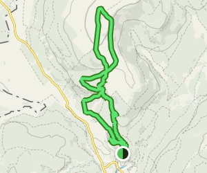 Kielder Deadwater Red Trail: 44 Reviews, Map - Northumberland, England ...