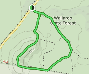 Talbots Trail via Paddys Hill Trail: 2 Reviews, Map - New South Wales ...