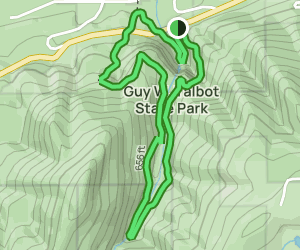 Latourell Falls Loop Trail: 5776 Reviews, Map - Oregon | AllTrails