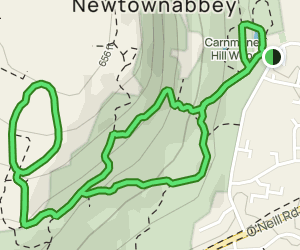 Carnmoney Hill Wood Walk: 33 Reviews, Map - Antrim, Northern Ireland ...