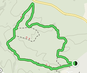 Wilson Trail Loop: 37 fotos - Virgínia | AllTrails