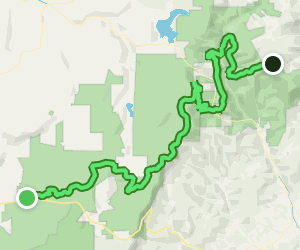 Lost Turkey Trail: 55 Reviews, Map - Pennsylvania | AllTrails