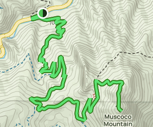 Daniel's Pass to Mount Muscoco: 323 Reviews, Map - Colorado | AllTrails