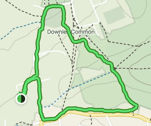 Downley Common and Woods Circular: 3 Reviews, Map - Buckinghamshire ...