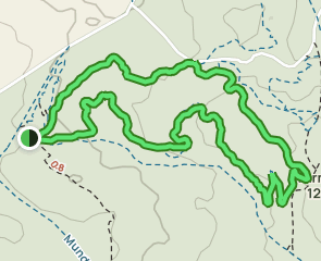 Turner Hill MTB Circuit: 9 Reviews, Map - Western Australia, Australia ...