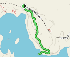 Prong Pond Trail, Maine - 60 Reviews, Map | AllTrails