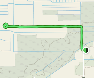 Wainfleet Bog Trail: 11 Reviews, Map - Ontario, Canada | AllTrails