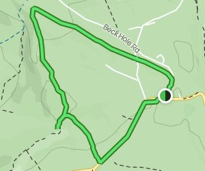 Goathland and Mallyan Spout: 264 Reviews, Map - North Yorkshire ...