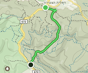 Rakefet River Trail from Keren Carmel Forest, 24 Fotos - Haifa, Israel ...