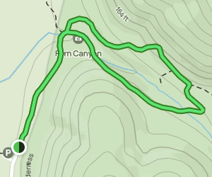 Fern Canyon Loop: 2755 Reviews, Map - California | AllTrails