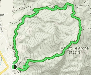 Mount Te Aroha Loop: 30 Reviews, Map - Waikato, New Zealand | AllTrails