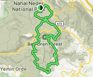 Chai Bar Carmel, Wadi Kelah, Mount Shoqef and Beit Oren Forest: 1 ...