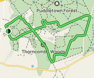 Puddletown Forest, Thorncome Woods and Hardy's Cottage Circular, 52 ...