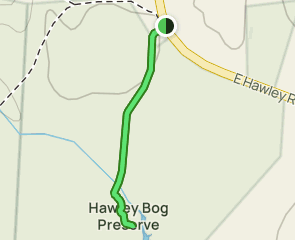 Hawley Bog Trail, Massachusetts - 24 Reviews, Map | AllTrails