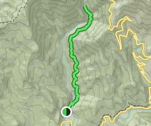 Marble Falls Trail: 1578 Reviews, Map - California | AllTrails