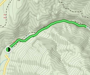 The Catwalk #207 Trail: 265 Reviews, Map - New Mexico | AllTrails