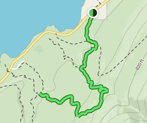 Gatton Creek Trail: 112 Reviews, Map - Washington | AllTrails
