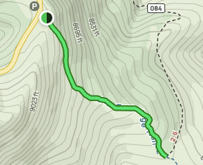 Bear Trap Ridge Trail: 1 fotos - Utah | AllTrails