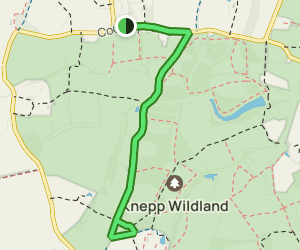 Countryman Lane - Knepp Wildland: 5 Reviews, Map - West Sussex, England ...