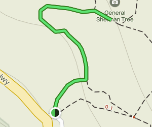 General Sherman Tree via Generals Highway Trailhead: 257 Reviews, Map ...