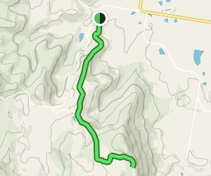 Mount Bright via Watagan Track: 15 Reviews, Map - New South Wales ...