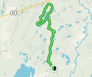 The Pinery Trail to Green Tract: 95 Fotos - Ontario, Kanada | AllTrails