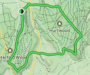 Peaslake, Holmbury Hill and Pitch Hill Circular: 69 Reviews, Map ...