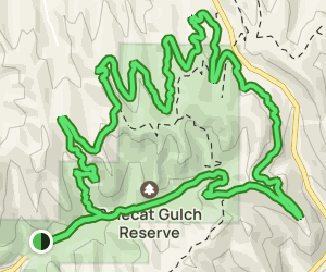 Polecat Gulch Loop via Collister Trailhead: 455 Reviews, Map - Idaho ...