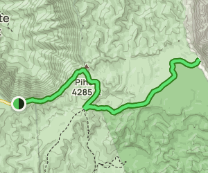 Pihea Trail to Alakai Swamp: 783 Reviews, Map - Kaua'i, Hawaii | AllTrails