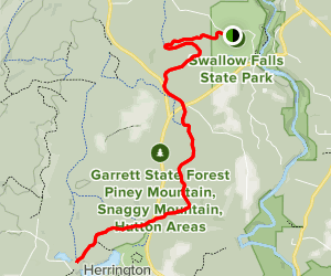 Herrington Manor and Swallow Falls Trail - Maryland | AllTrails