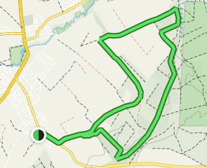 The Swallows - Blakely Lane Circular, Nottinghamshire, England - 3 ...