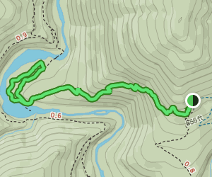 Tall Trees Grove Loop Trail: 1704 Reviews, Map - California | AllTrails