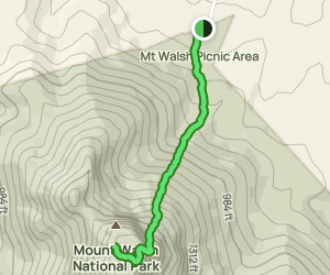 Mount Walsh Walking Track: 153 Reviews, Map - Queensland, Australia ...