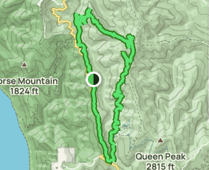 Paradise Royale Mountain Bike Trail Loop: 82 fotos - Califórnia | AllTrails