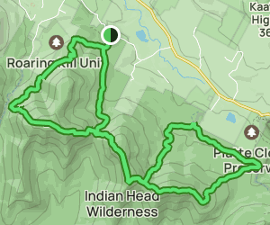 Mink Hollow Devil's Path Loop Trail - New York | AllTrails