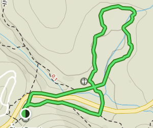 Big Trees Trail [CLOSED]: 1170 Reviews, Map - California | AllTrails