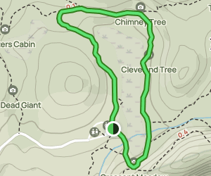 Crescent Meadow Loop: 347 Reviews, Map - California | AllTrails