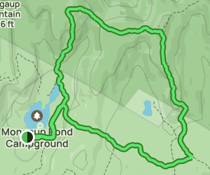 Mongaup Flugertown Loop: 7 Reviews, Map - New York | AllTrails