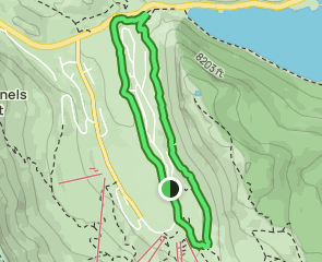 Red Cliffs Loop, California - 24 Reviews, Map | AllTrails