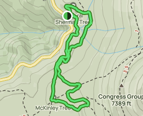 Congress Trail via Generals Highway Trailhead, California - 656 Reviews ...