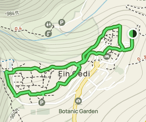 Ein Gedi Town Loop: 0 Reviews, Map - Southern District HaDarom, Israel ...