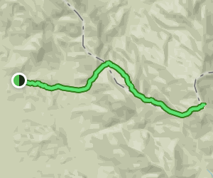 Mount Tahan via Merapoh: 4 Reviews, Map - Pahang, Malaysia | AllTrails