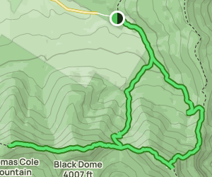 Black Dome and Thomas Cole Mountain via Batavia Kill Trail | Map, Guide ...