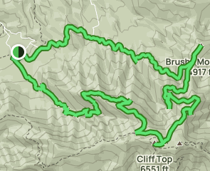 Mount LeConte via Trillium Gap Loop Trail, Tennessee - 311 Reviews, Map ...