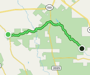 Lone Star Hiking Trail: Magnolia Segment: 24 Reviews, Map - Texas ...
