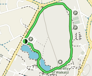 University of Waikato Grounds Loop: 12 Reviews, Map - Waikato, New ...