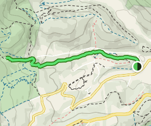 Secret Falls and Myrtle Gully Falls: 92 Reviews, Map - Tasmania ...
