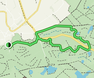 Lhee - Dwingelderveld North - Drenthe, Netherlands | AllTrails